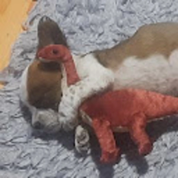 SoFiA :3 | profe.social